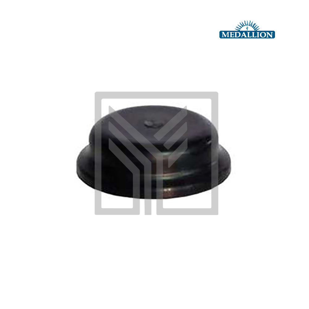 Tapón Plano para Panel Solar MEDALLION – albercasy